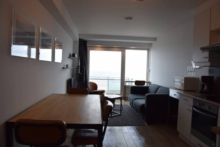 Ruim Appartement Op De Zeedijk Van Blankenberge - Brügge