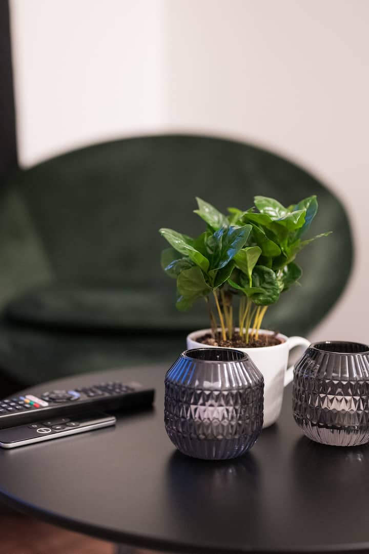 Gemütliches Apartment In Der Innenstadt V. Rostock - Rostock