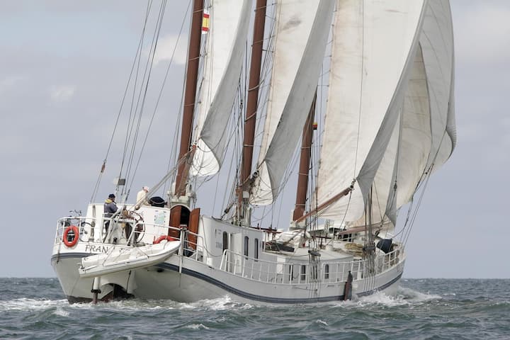 Enjoy Shipstays In Harlingen, Netherlands - Harlingen