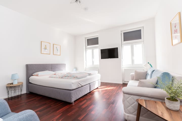 Lovely Flat With Self Check In System - Schwechat