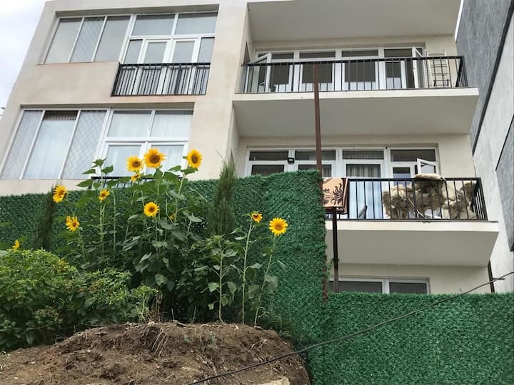 Spacious Two Bedroom Apartment - Tbilisi