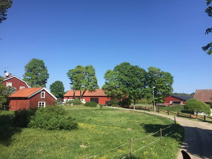 Trevligt Boende På Hästgård - Tierp