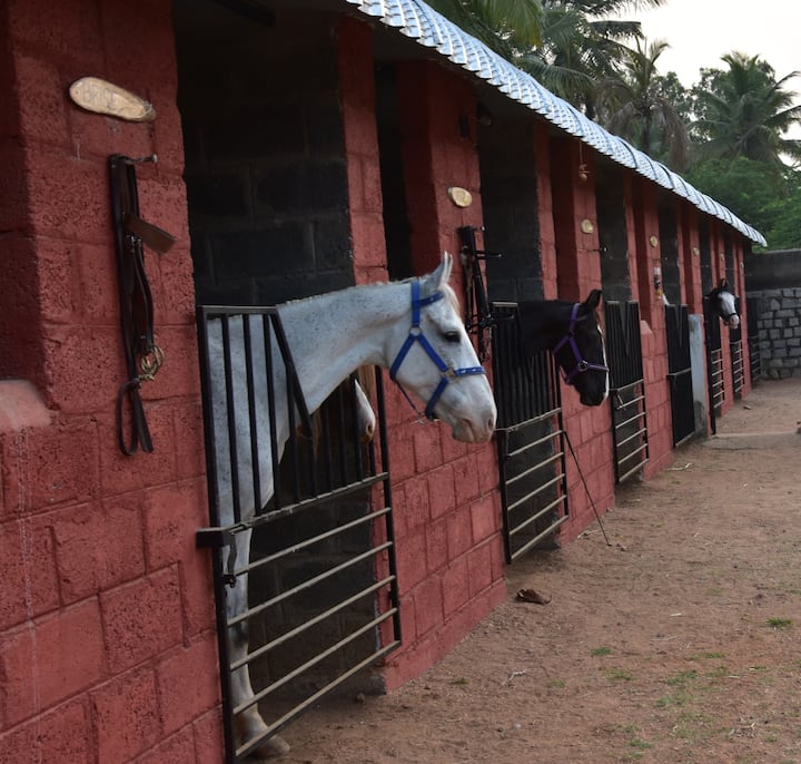 Brise Stables - Hampi