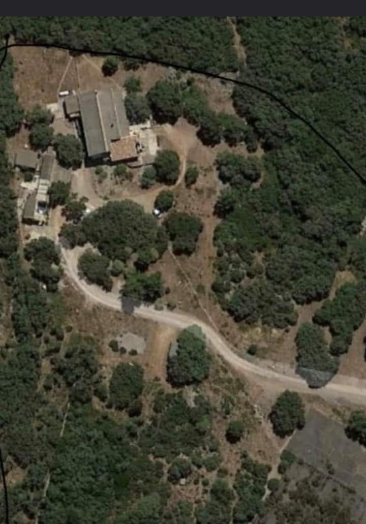 Un Petit Coin De Paradis Sans Chichi - Frontignan