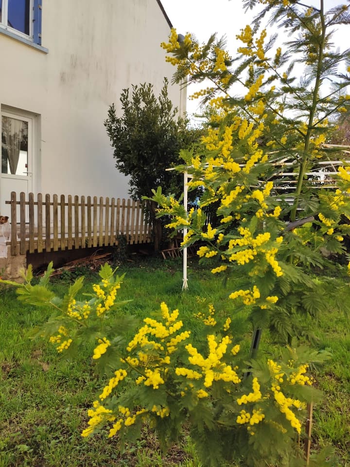 Agréable Maison Familiale De Village - Pénestin