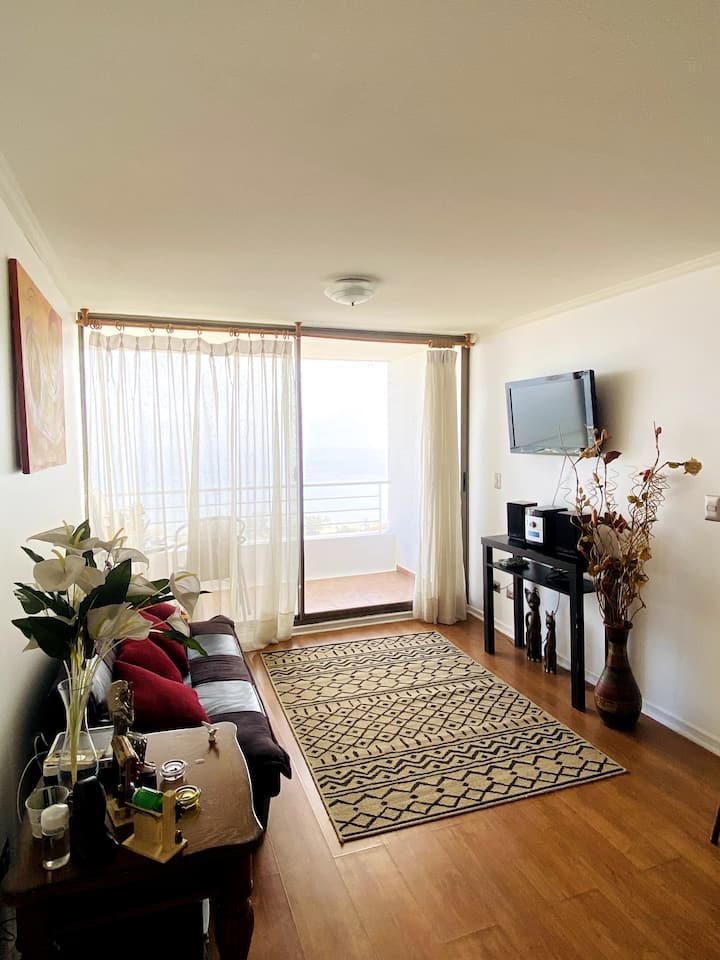 Hermoso Depto, La Mejor Vista De Valparaiso Y Viña - Valparaíso