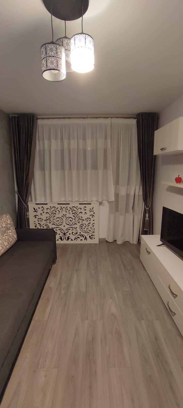 Leo Apartment - Piatra Neamț