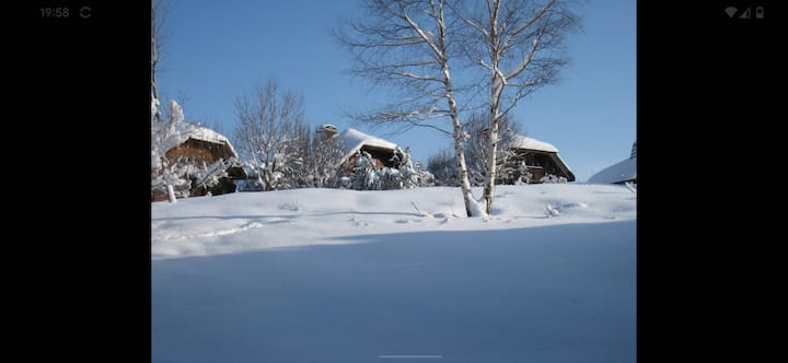 Chalet Montagne à Thollon Les Mémises - Thollon-les-Mémises