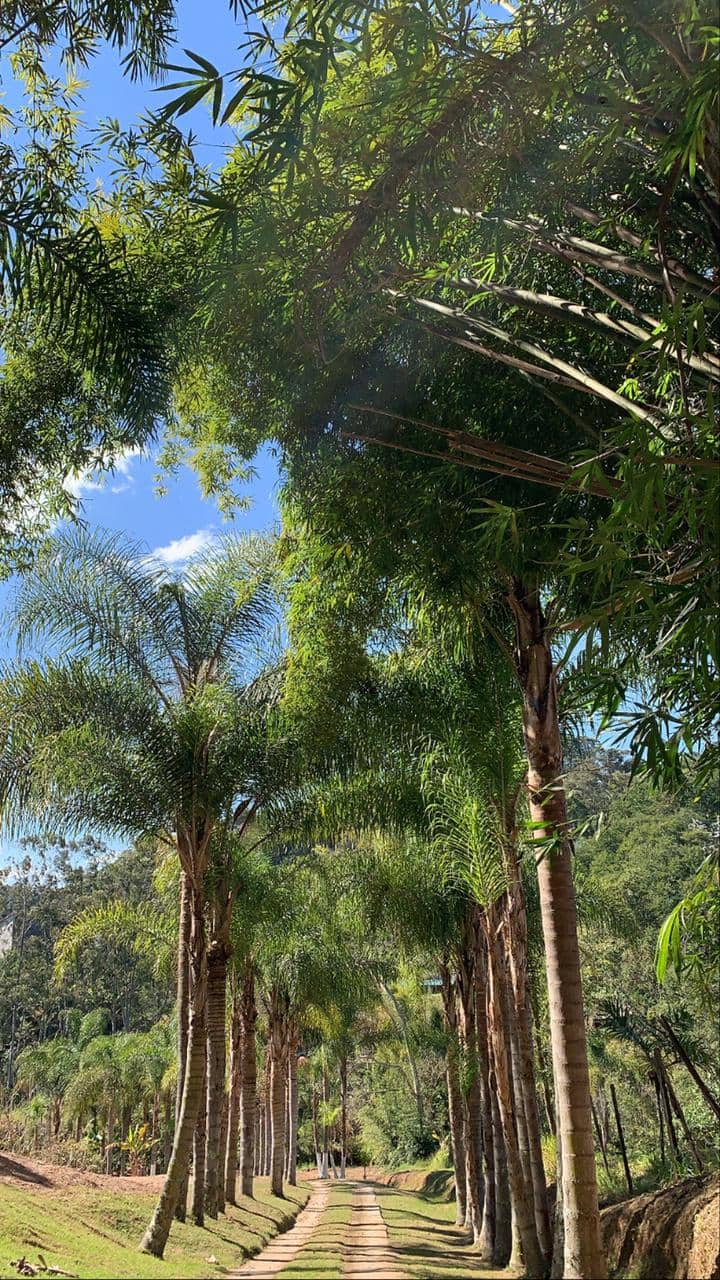 Chácara Para Fins De Semana Em Santa Isabel Sp - Arujá