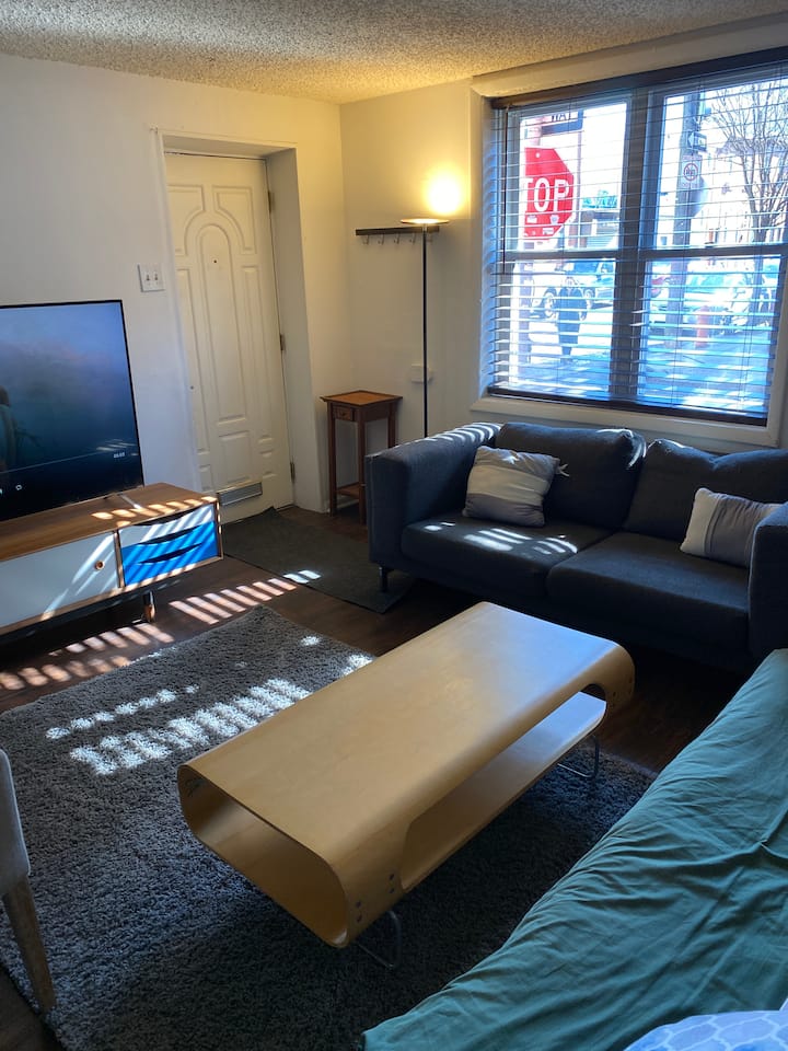 Phila Pa Central Fishtown Private One Bedroom - Mount Airy - Philadelphia