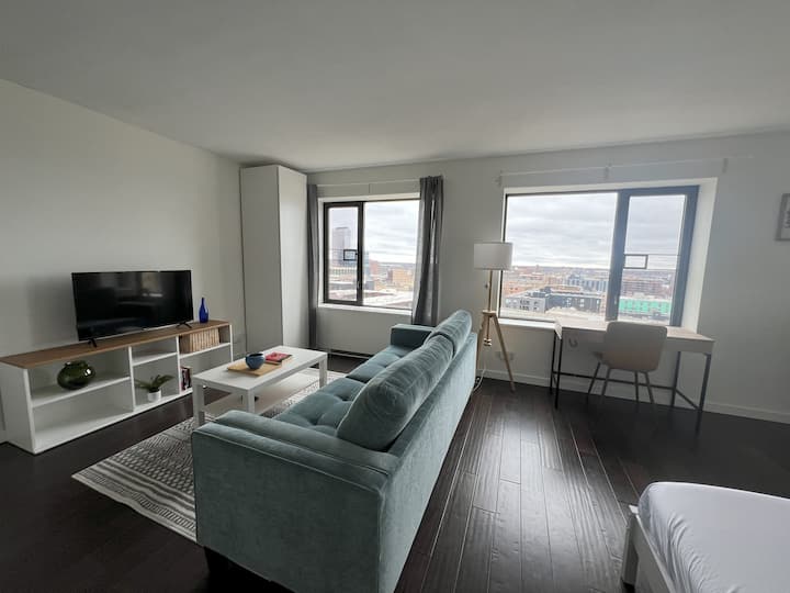 Crisp Cozy Modern Condo With Great Amenities - Minneapolis, MN