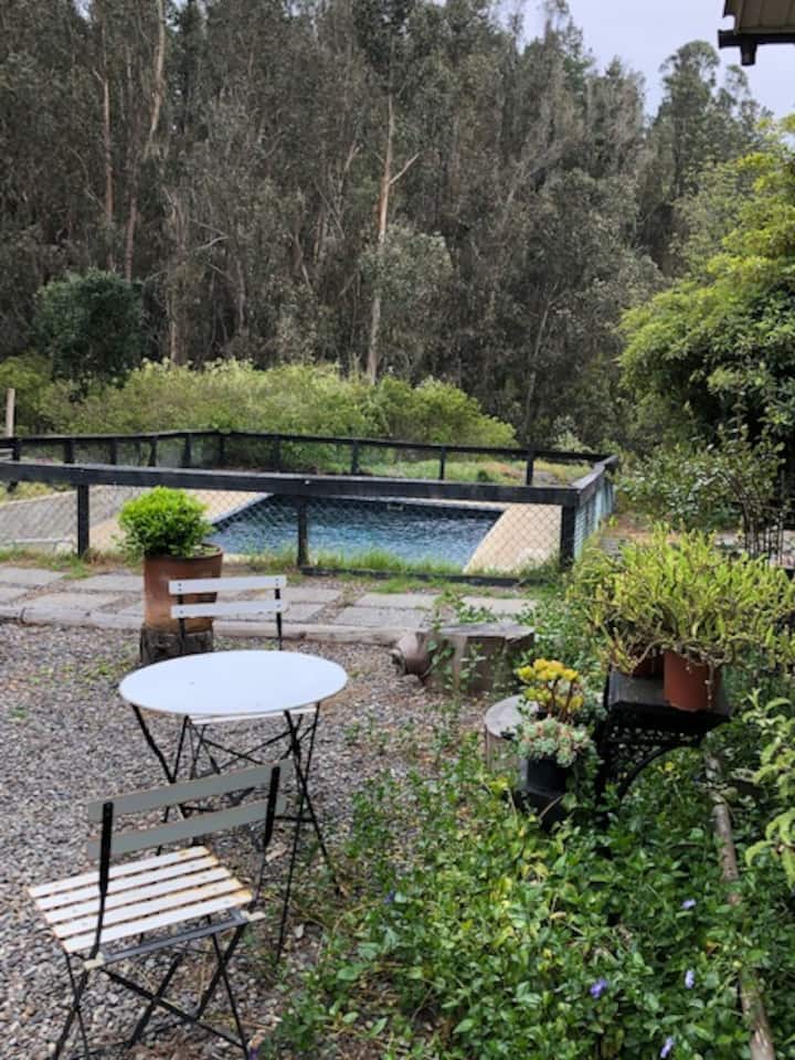 Casa Bosque El Totoral , Cerca Del Mar - El Quisco