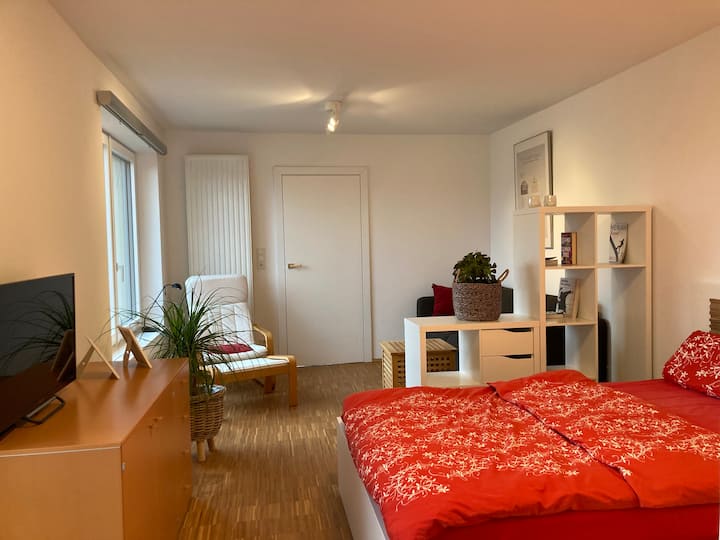 Ruhiges Apartment Mit Garten - Kassel