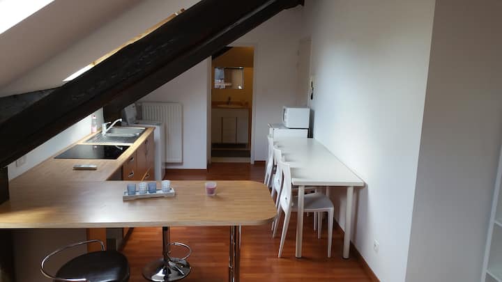 Studio Climatisé Sous Combles Nancy Centre Gare - Nancy