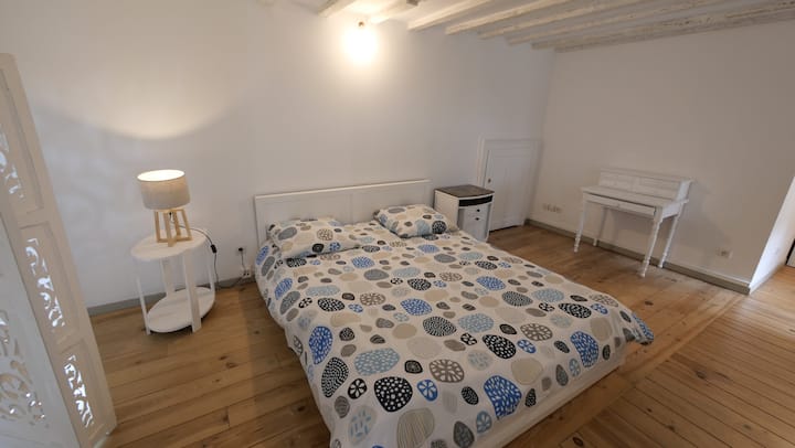 Grand Duplex Spacieux, Agréable En Centre Du Mans - Allonnes