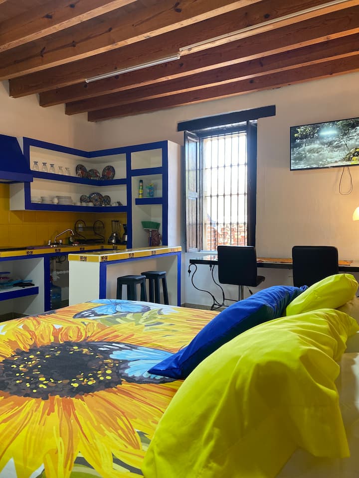 Charming Studio  In The Historic Downtown. - グアナフアト