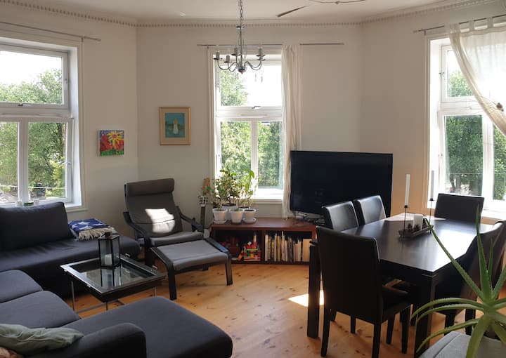 Corner Park View - Grünerløkka - Whole Apartment! - Oslo