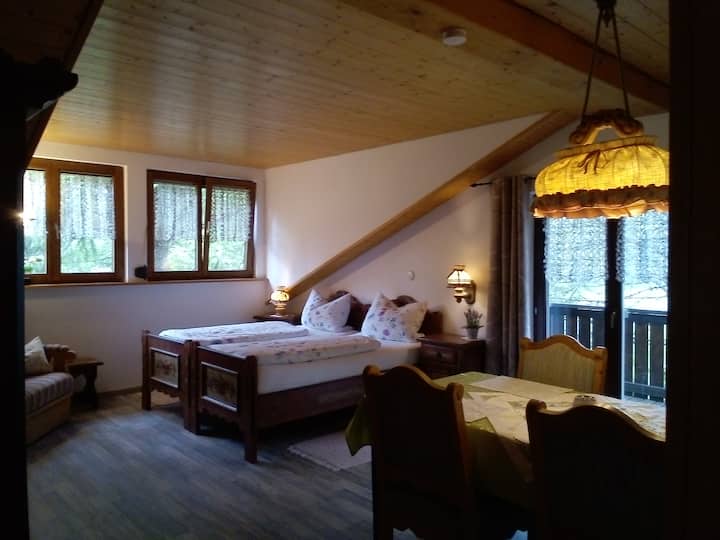 Feldberg Appartement In Schwarzwald Villa Titisee - Titisee-Neustadt