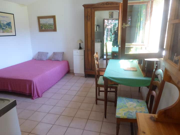 Maisonnette Indépendante En Fond De Jardin - Écully