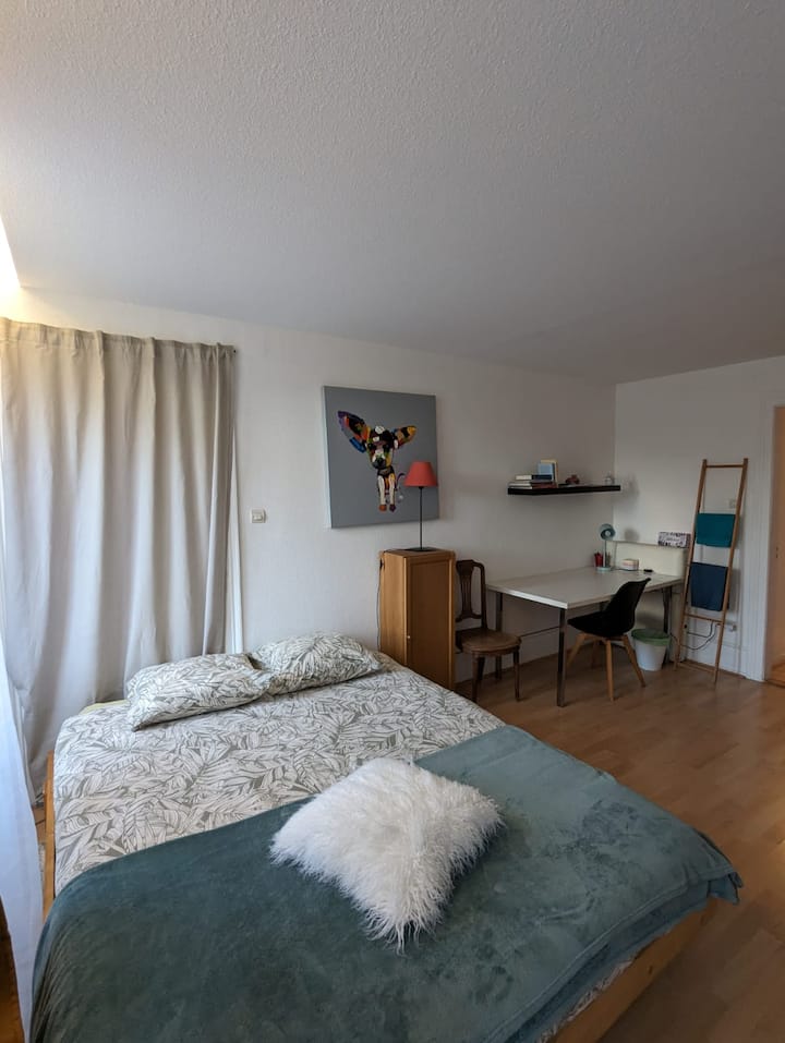 Chambre Chez L'habitant Dans Un Cadre Agréable - Strasbourg