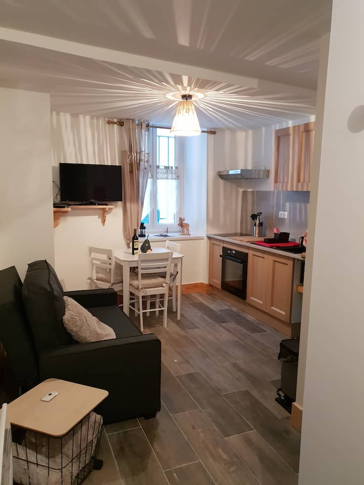 Bord D'oriège - Appt 2 Personnes Rdc Centre Piéton - Ax-les-Thermes