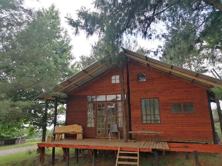 Forest Cabin. Cosy Two Bedroom Plus Loft Log Cabin - Bulwer