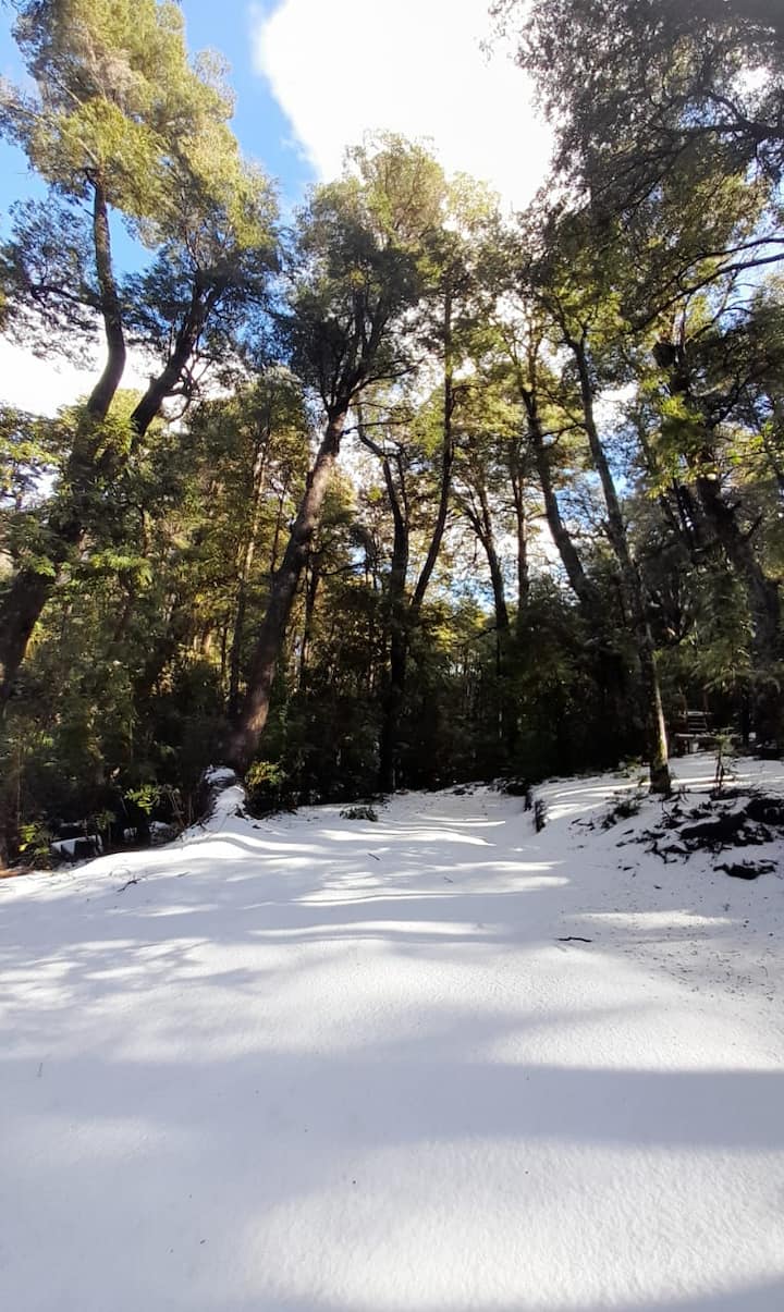 Refugio En Mágico Bosque Nativo Junto A Río - Región de Maule, Chile