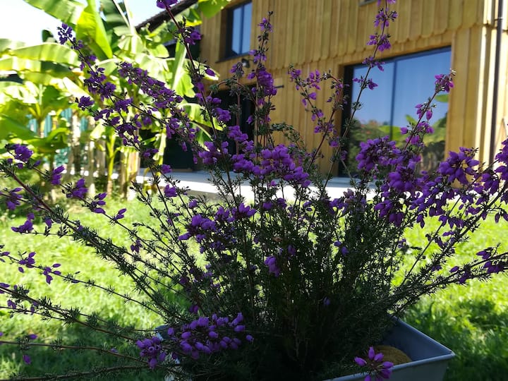 * La Grange Aux Grenouilles Lit Et Mixe * - Lit-et-Mixe