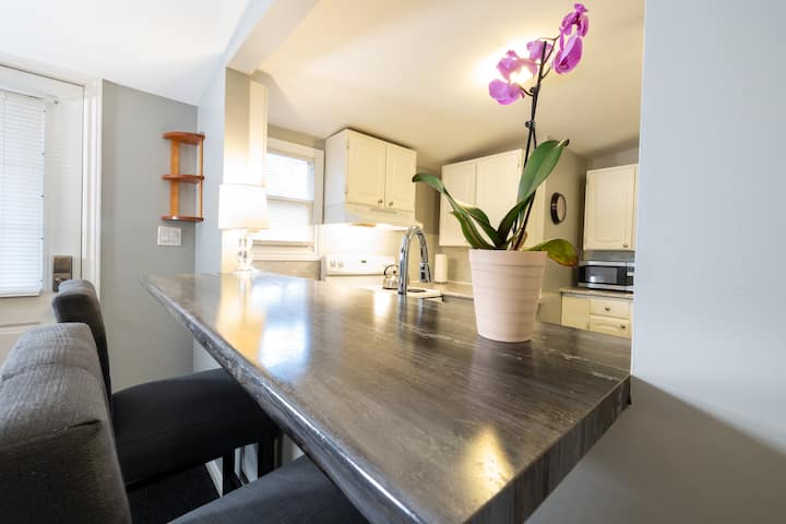 Lovely Apartment Near Downtown! - London