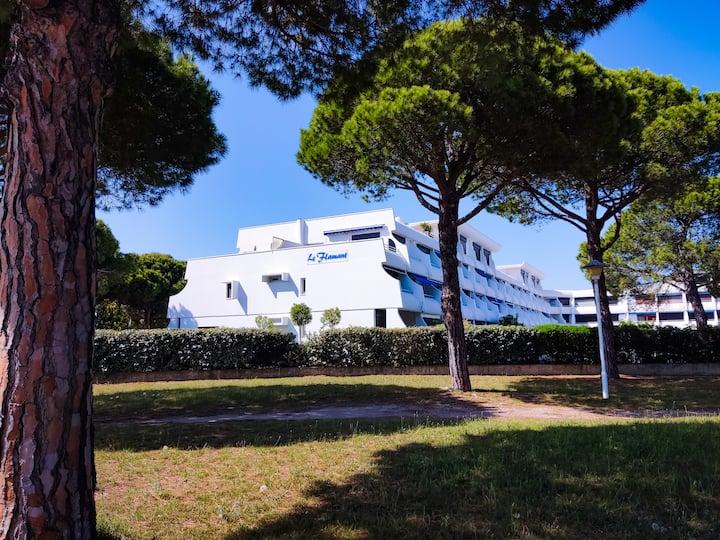 Studio Proche De La Plage Location à La Semaine - Le Grau-du-Roi