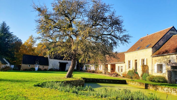 Grand Gîte De Charme  
Nature
St Martin Des Bois - Montoire-sur-le-Loir