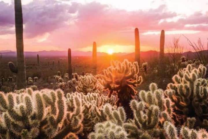Vacation Home Adorable 1 Bedroom Guest House - Tucson Estates, AZ