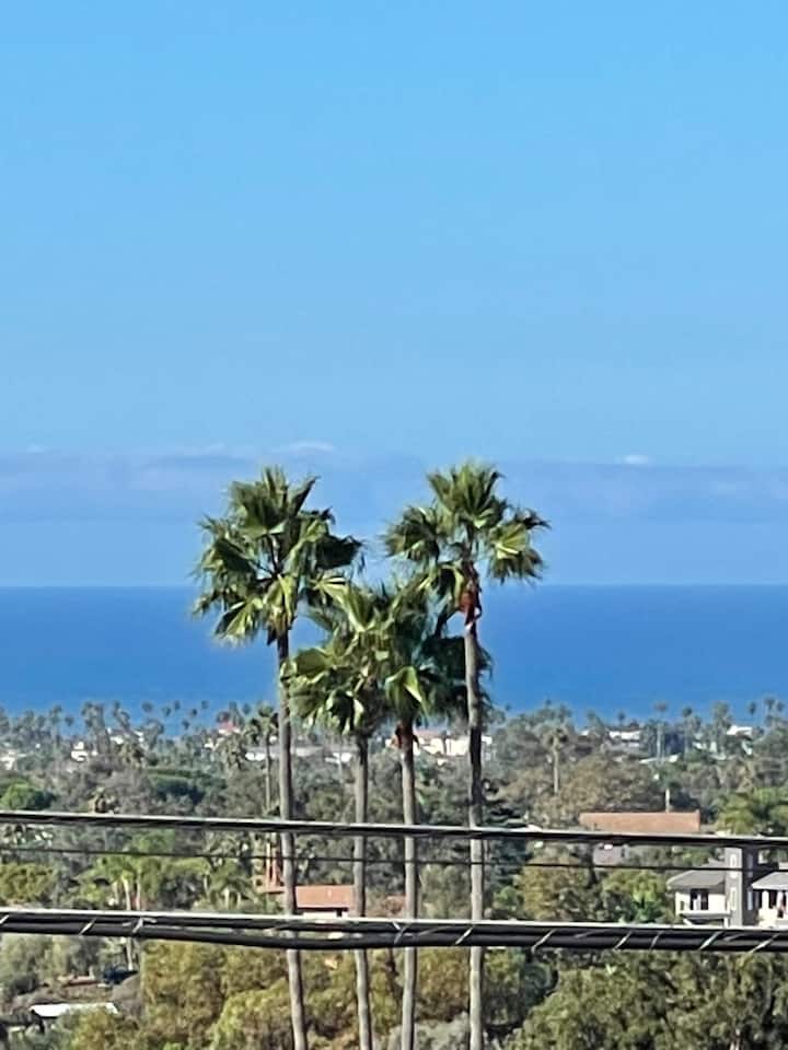 Luxury Midcentury Modern Retreat- Epic Ocean Views - Oceanside, Californie