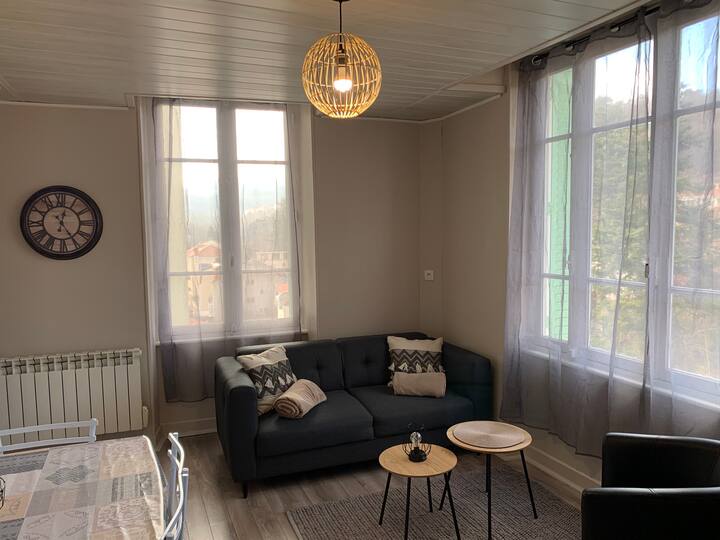 Appartement 2* - Idéale Curistes Et Professionnels - Châtel-Guyon
