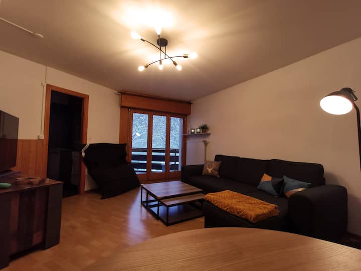 Magnifique Appartement Au Pied Des Pistes - Lenk