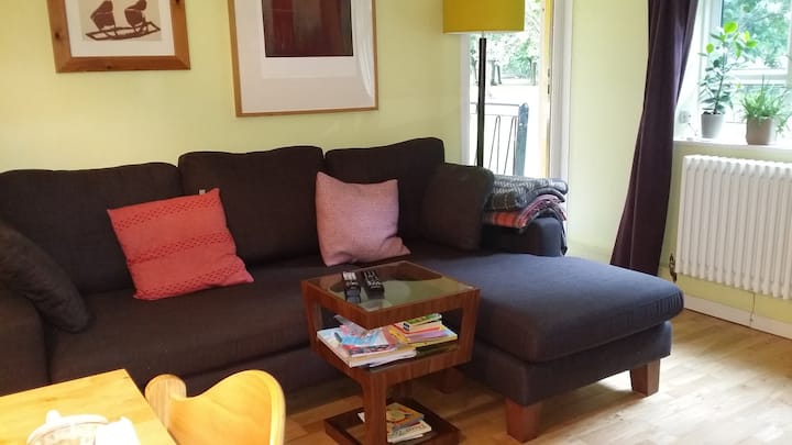 Charming Flat By Putney Common - London