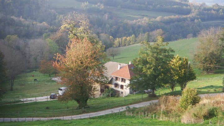 Le Palefroi De Merlas, Gîte 12 Personnes - Lac de Paladru
