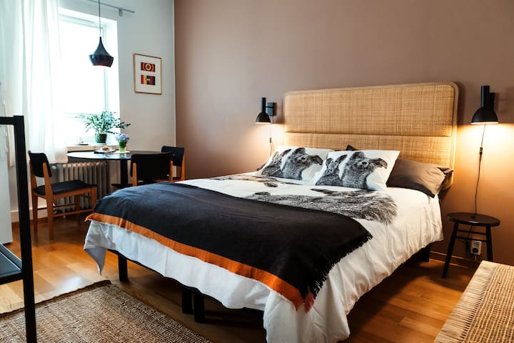 Little Pearl In Kallio Just One Block From Metro - Helsinki