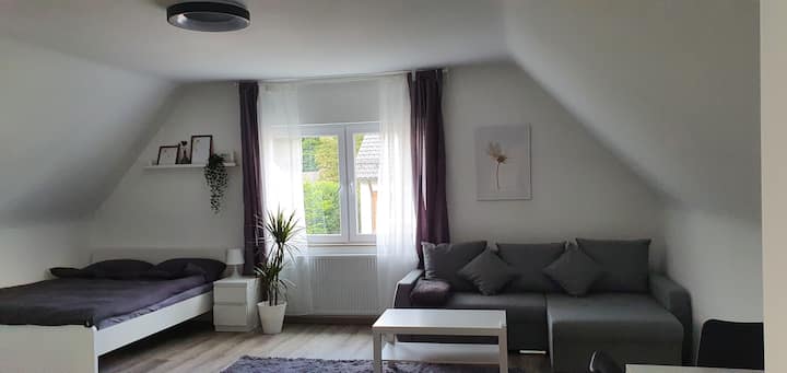 Bonn/königswinter Lovely 1 Room-parking Free - Bonn