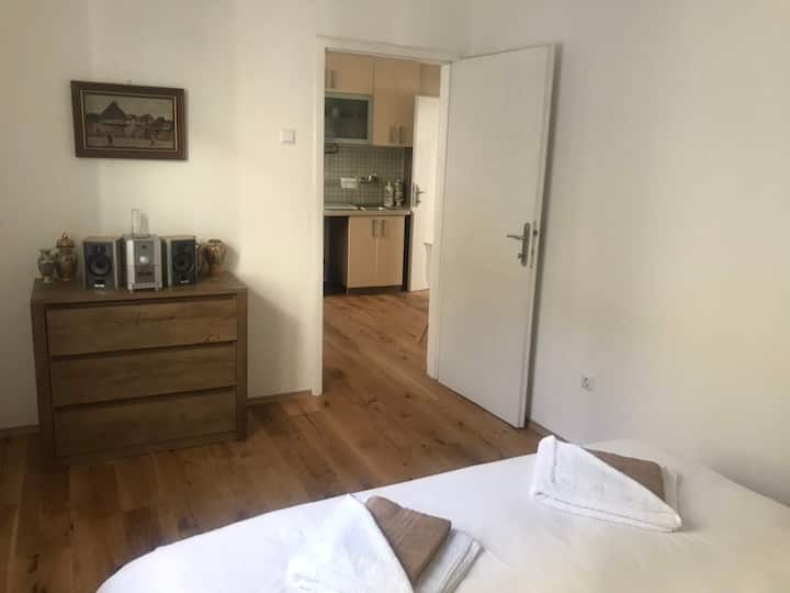 Wilson’s Promenade Appartement With The Parking - Saraybosna