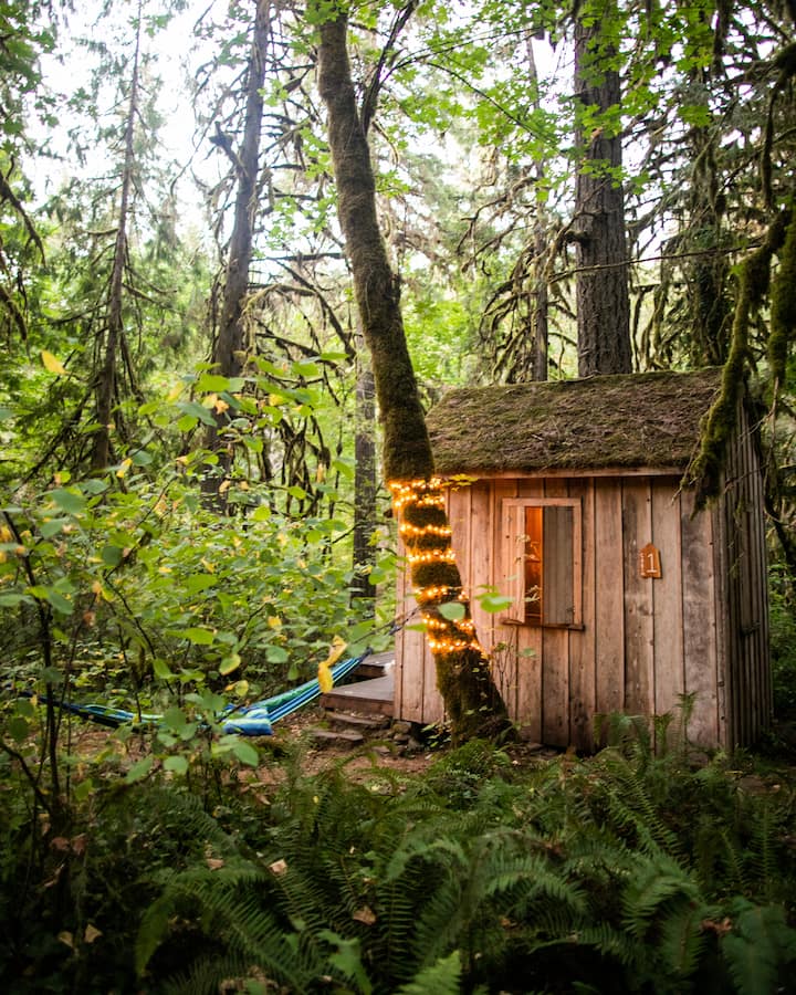 Detroit Lake Cabin Rentals | House and Cabin Rentals | Airbnb