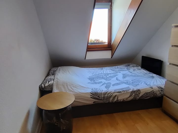 Appartement Toits Du Renard Prêchant (Ch. Privée) - Strasbourg