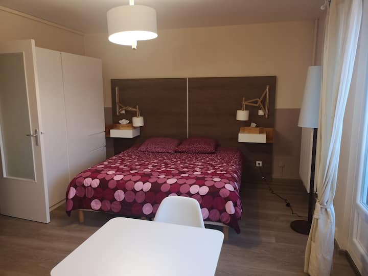 Appartement T1 De 30m2 Au Centre Ville De Mulhouse - Mulhouse