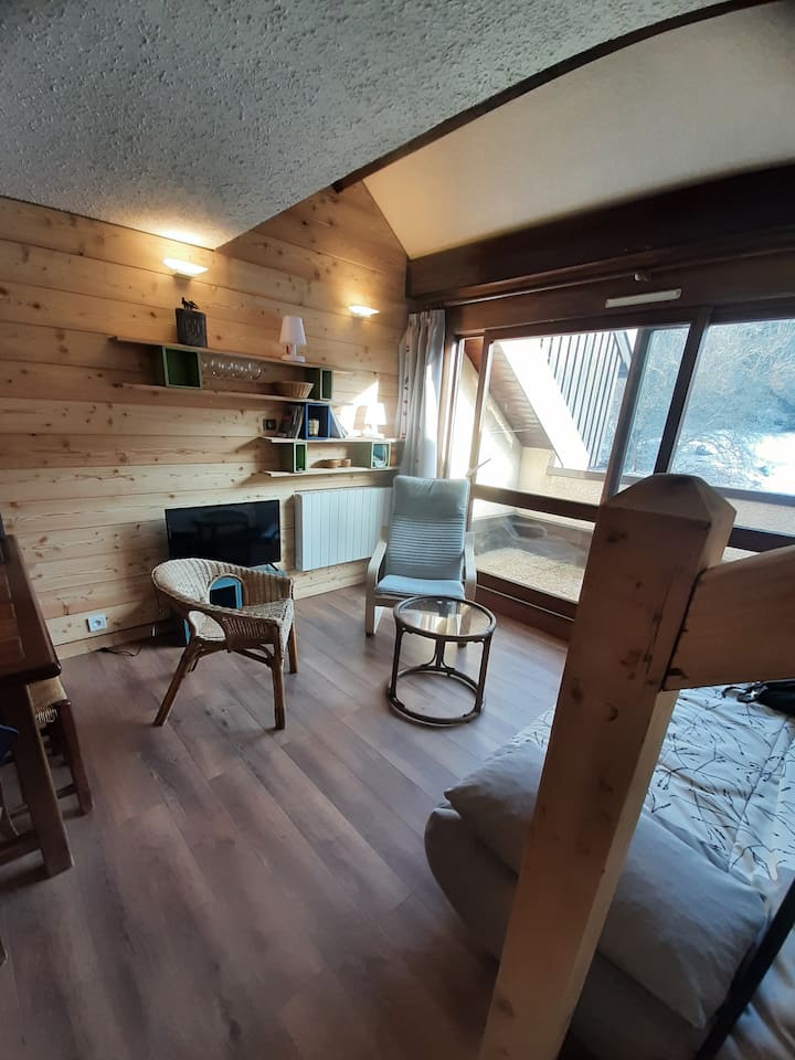 Ideal Pour Le Ski Et La Ballade - Ancelle