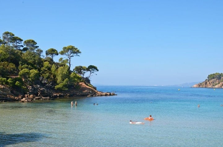 Bormes Les Mimosas La Faviere Le Sud Les Plages - Bormes-les-Mimosas