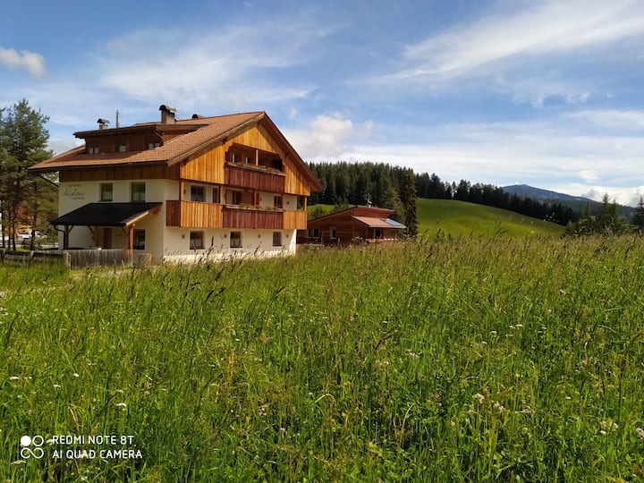 Appartamento Sas Dla Crusc (Chi Plans) - San Martino In Badia