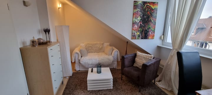 A Beautiful Gem In The Heart Of Bonn-poppelsdorf - ボン