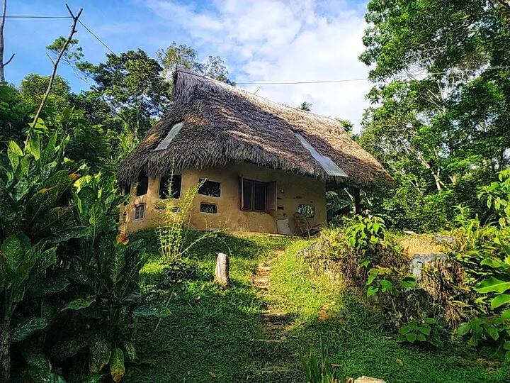 Retreat In Nature Private House Near Tarapoto - Lamas