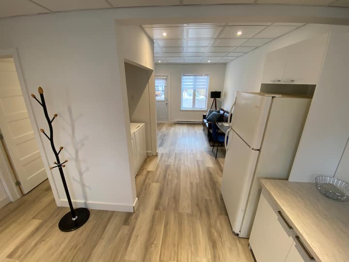 Superbe Condo Renover En Plein Centre Ville - Saguenay