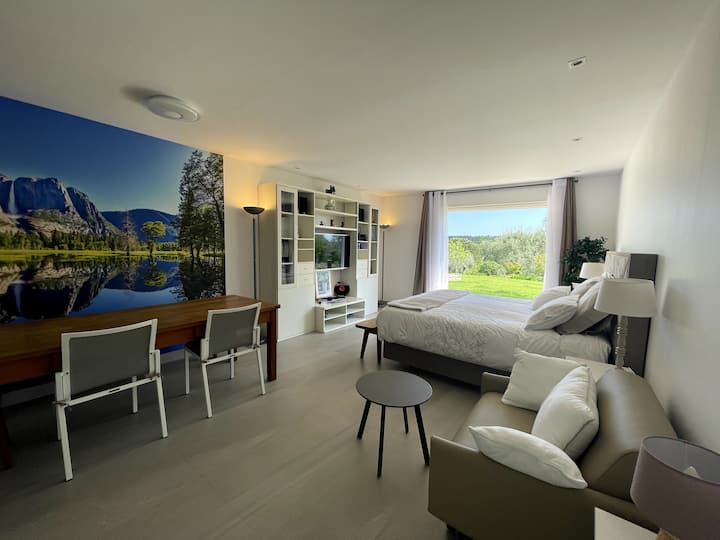 Grand Studio Luxueux En Villa Avec Piscine - Vence